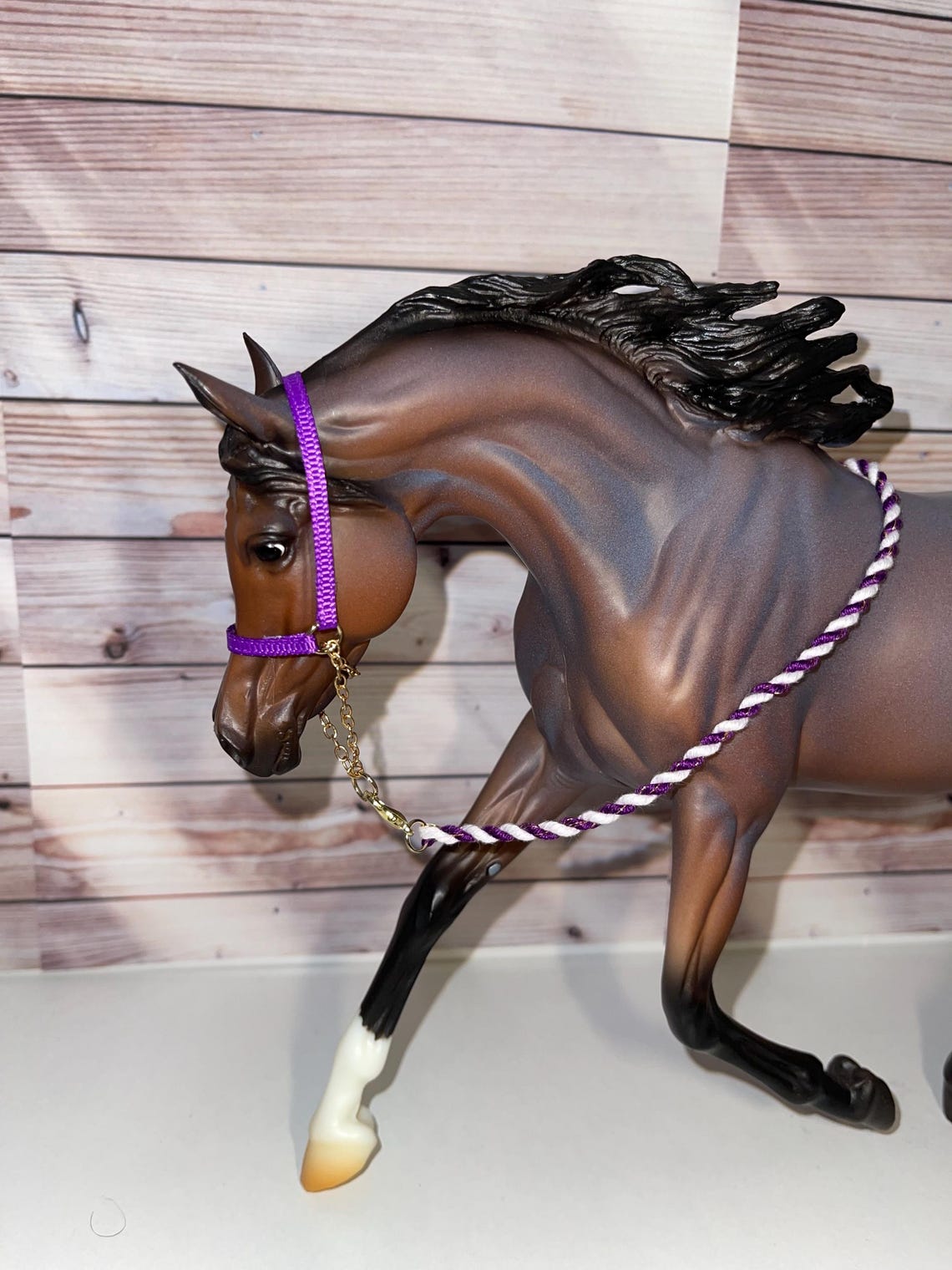 Show Me the Gold- Arabian Show Halter Set. - Etsy