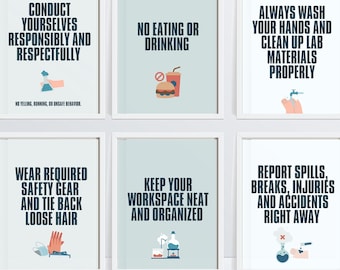Lab Rules Science Safety Posters, Science Classroom, Decor, Display ...