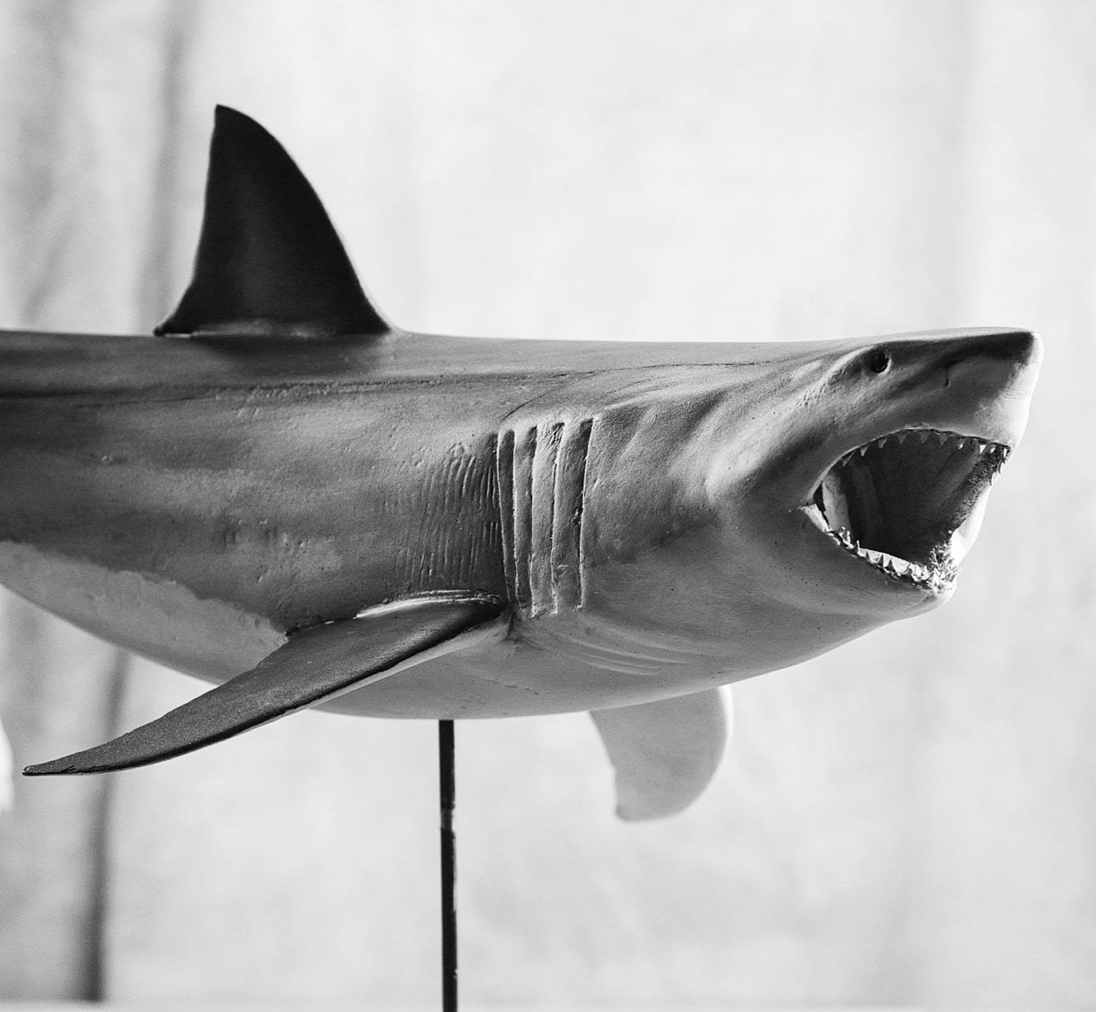 Great White Shark Sculpture - Etsy