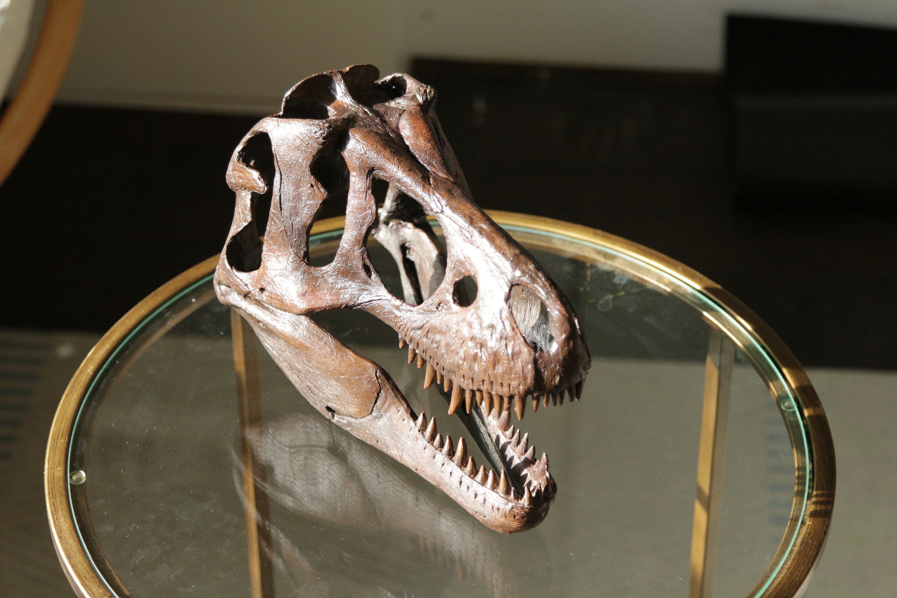 Tyrannosaurus Rex Skull 1:5 Scale Museum Quality Fine Art - Etsy