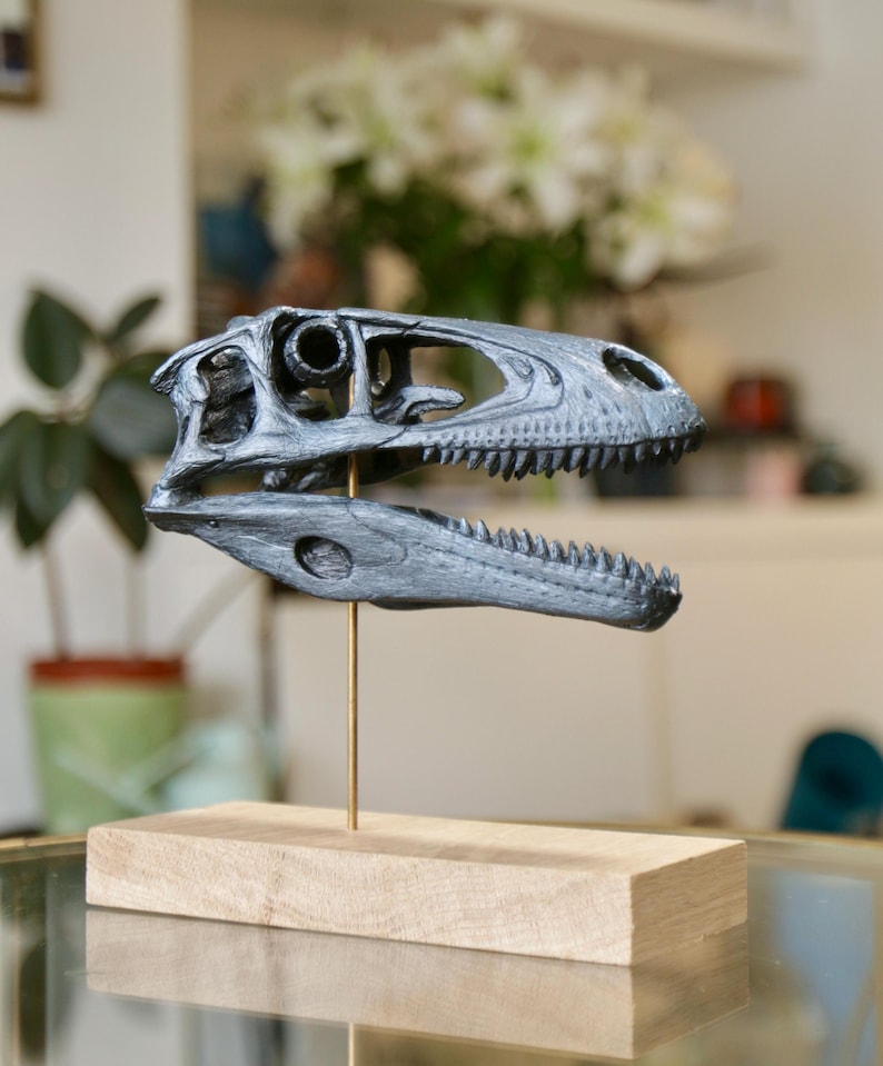 Deinonychus 1:2 Scale Model Skull With Stand Velociraptor Dromaeosaur ...