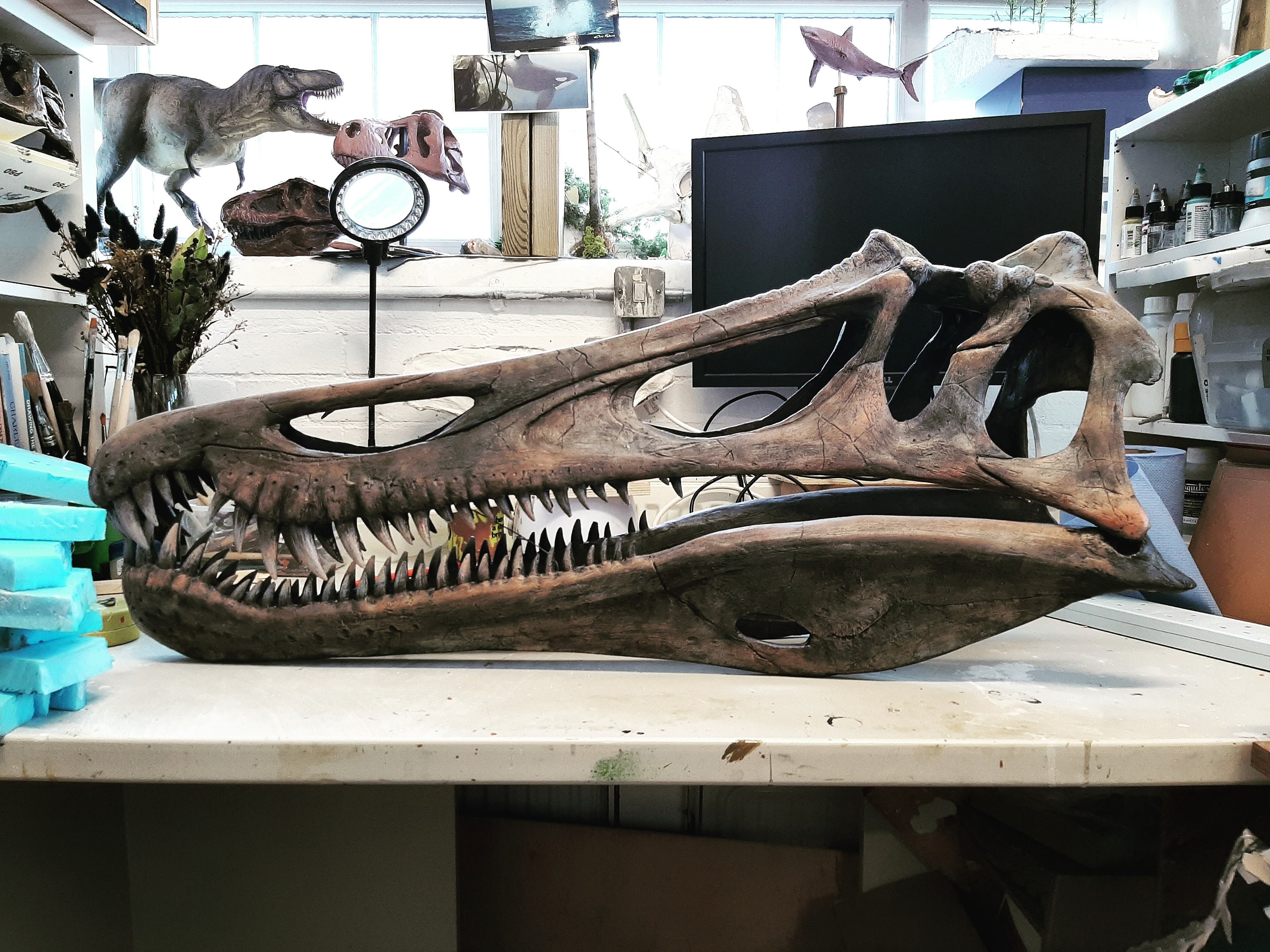 Baryonyx Dinosaur Skull 1:1 Scale 95cm Long Fossil Replica Spinosaurus ...