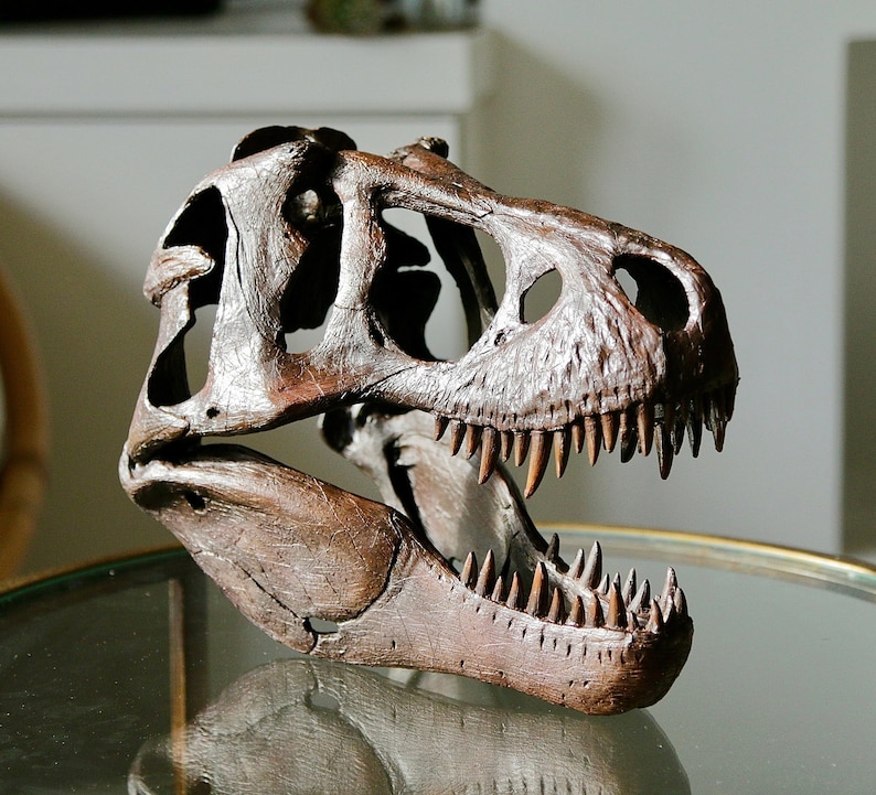 Tyrannosaurus Rex Skull 1:5 Scale Museum Quality Fine Art Limited ...