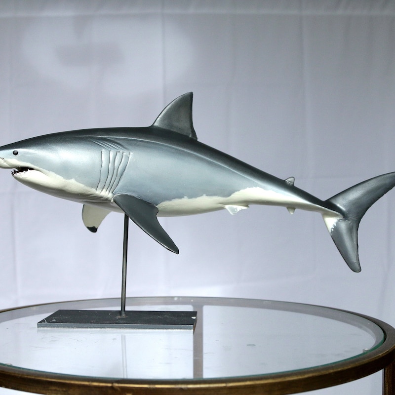 Shark Trophy - Etsy