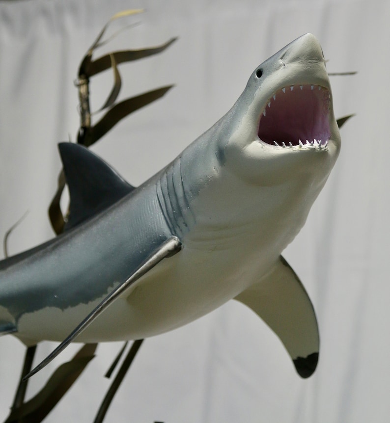 Great White Shark Sculpture With Kelp Diorama - Etsy