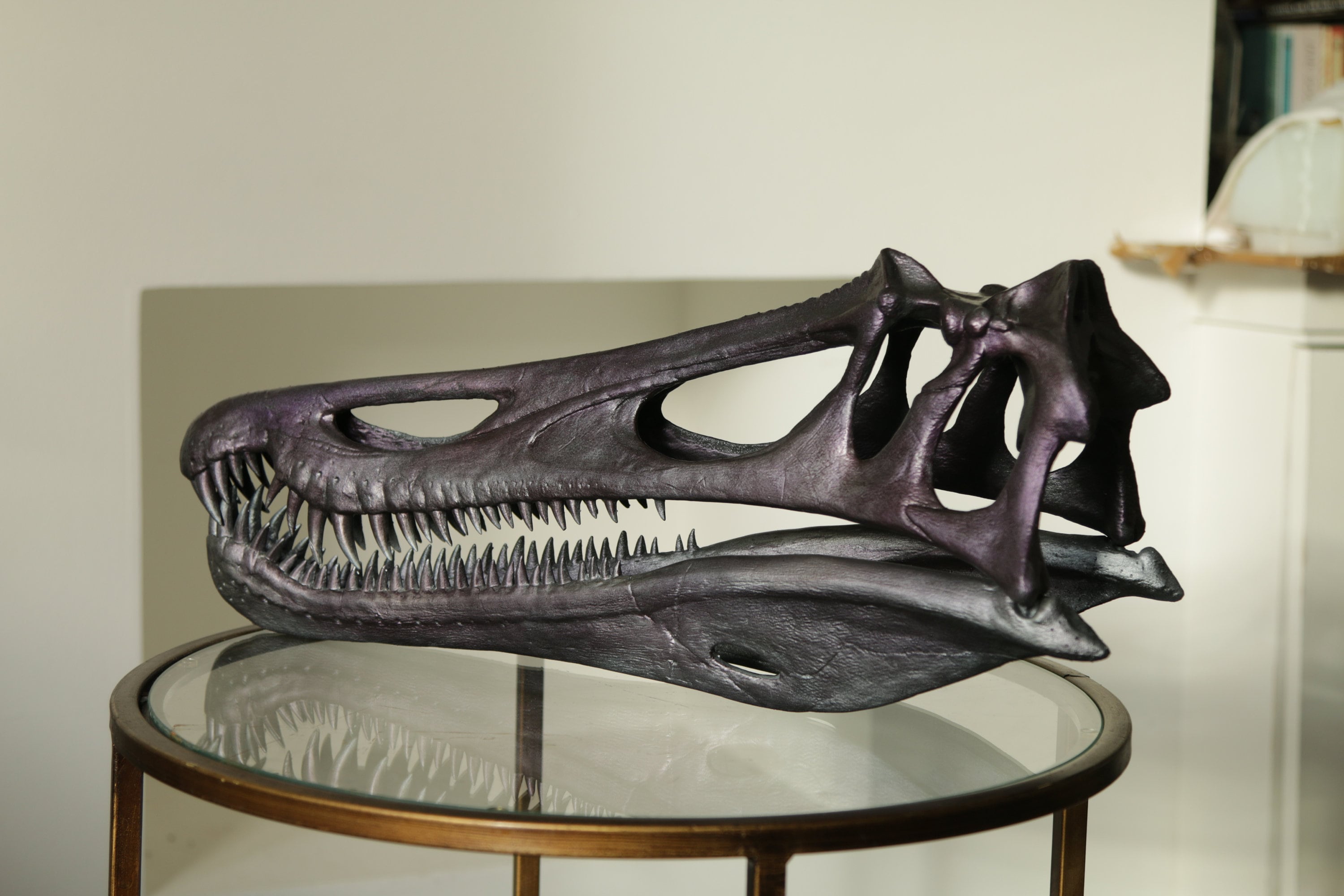 Baryonyx Dinosaur Skull 1:2 Scale 50cm Long Fossil Replica - Etsy