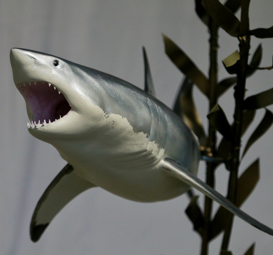 Great White Shark Sculpture - With Kelp Diorama - Etsy