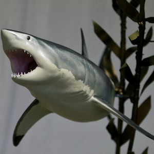 Great White Shark Sculpture - Etsy