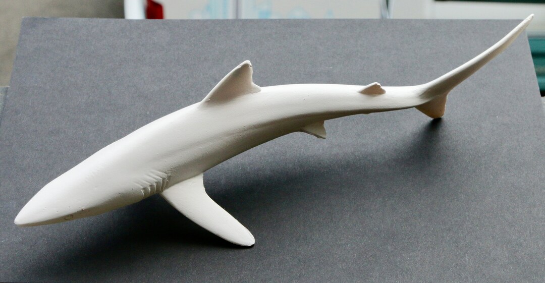 Blue Shark Scale Model Sculpture Figurine UNPAINTED KIT - Etsy