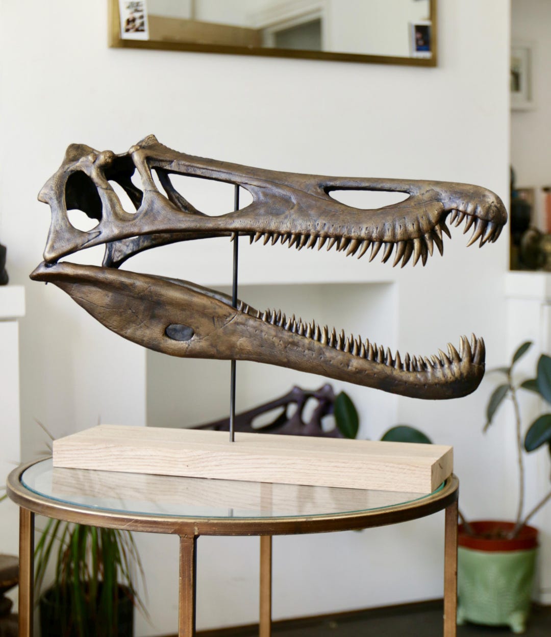 Mounted Baryonyx Dinosaur Skull 1:2 Scale 50cm Long Fossil Replica ...