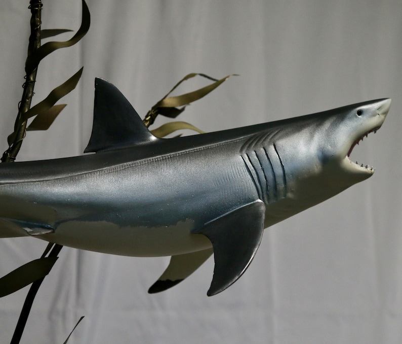 Great White Shark Sculpture - Etsy
