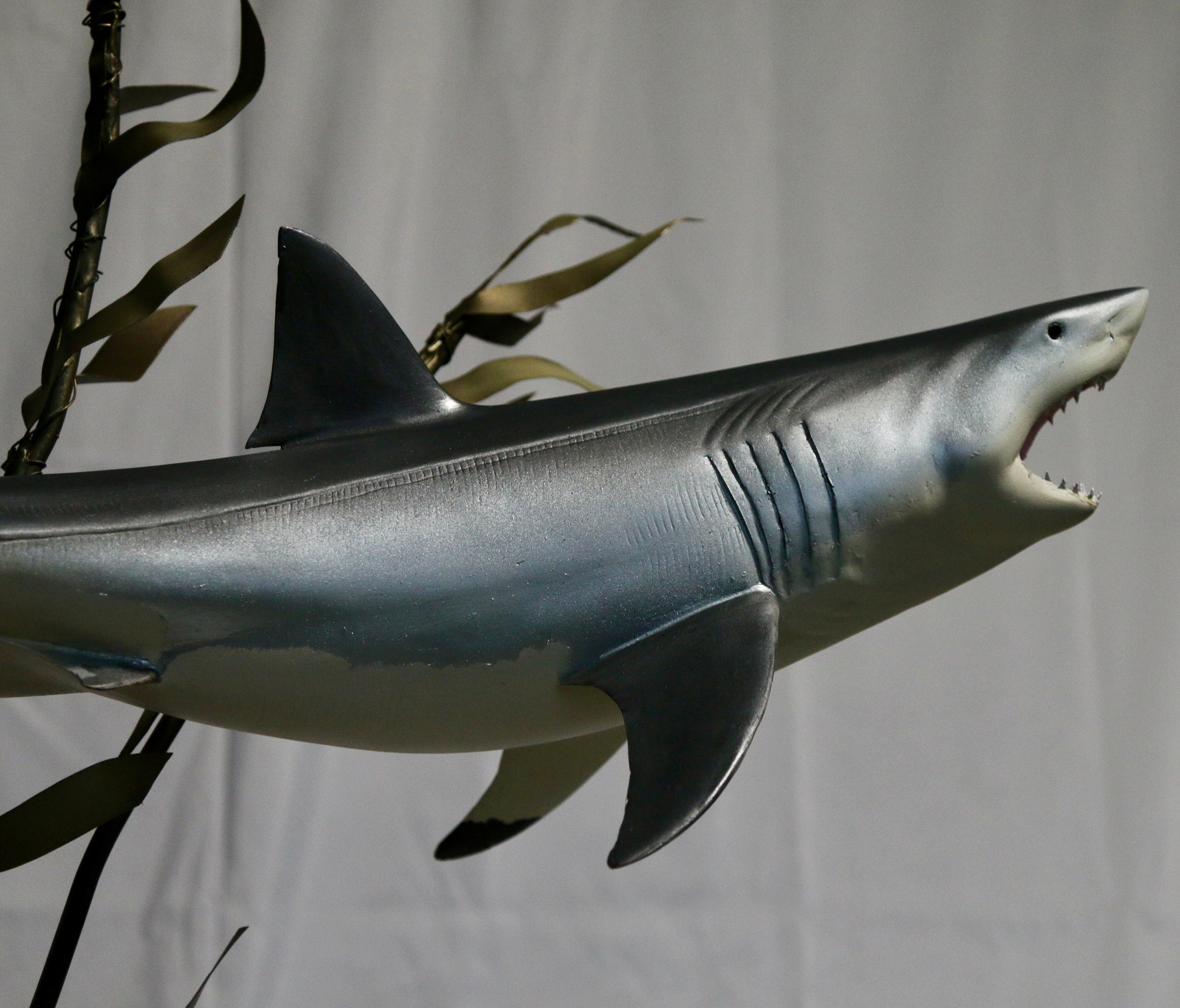 Great White Shark Sculpture - Etsy