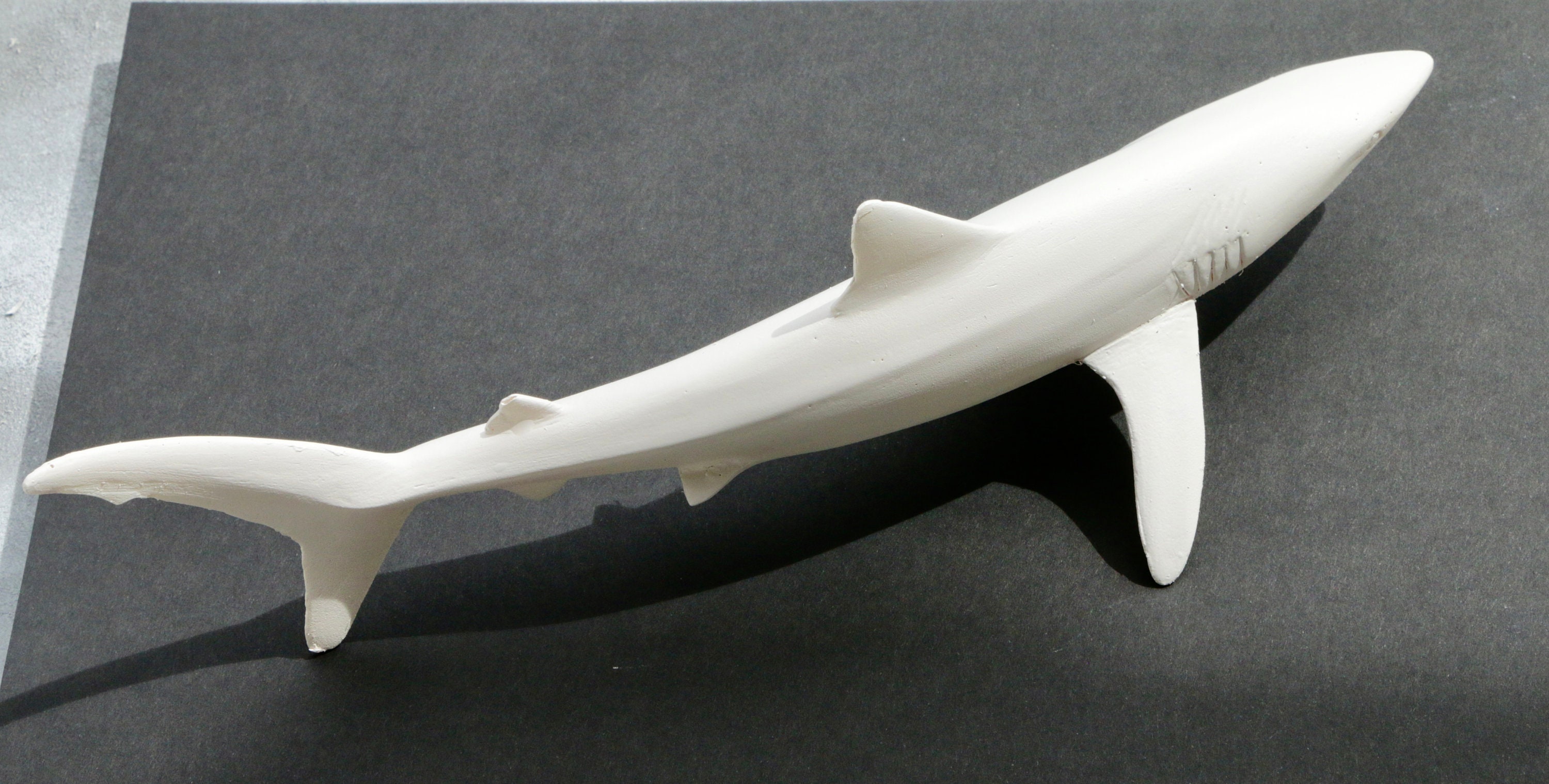 Blue Shark Scale Model Sculpture Figurine UNPAINTED KIT - Etsy