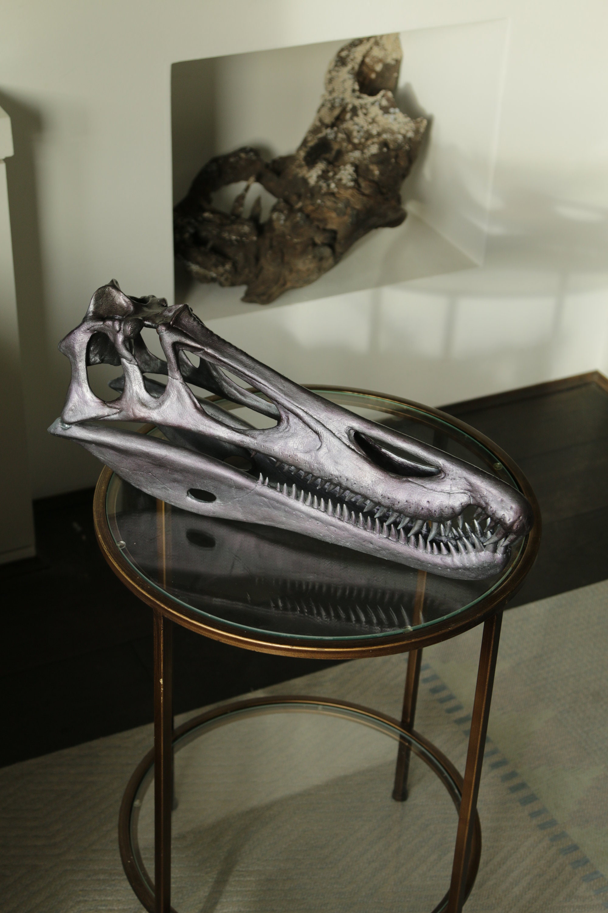 Baryonyx Dinosaur Skull 1:2 Scale 50cm Long Fossil Replica - Etsy