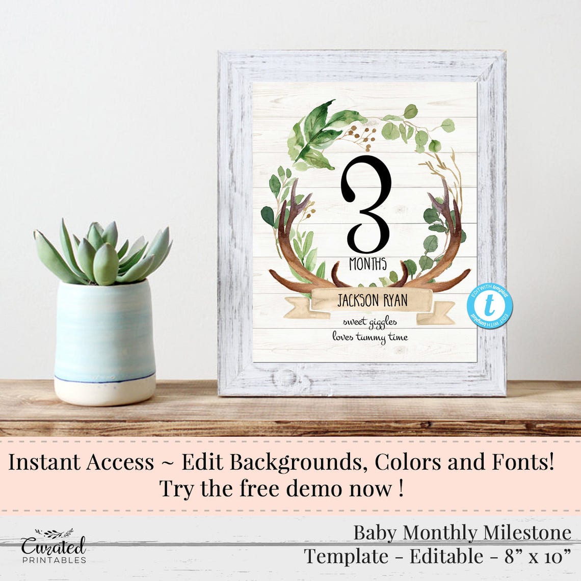 Baby Boy Monthly Milestone Monthly Milestone Template - Etsy
