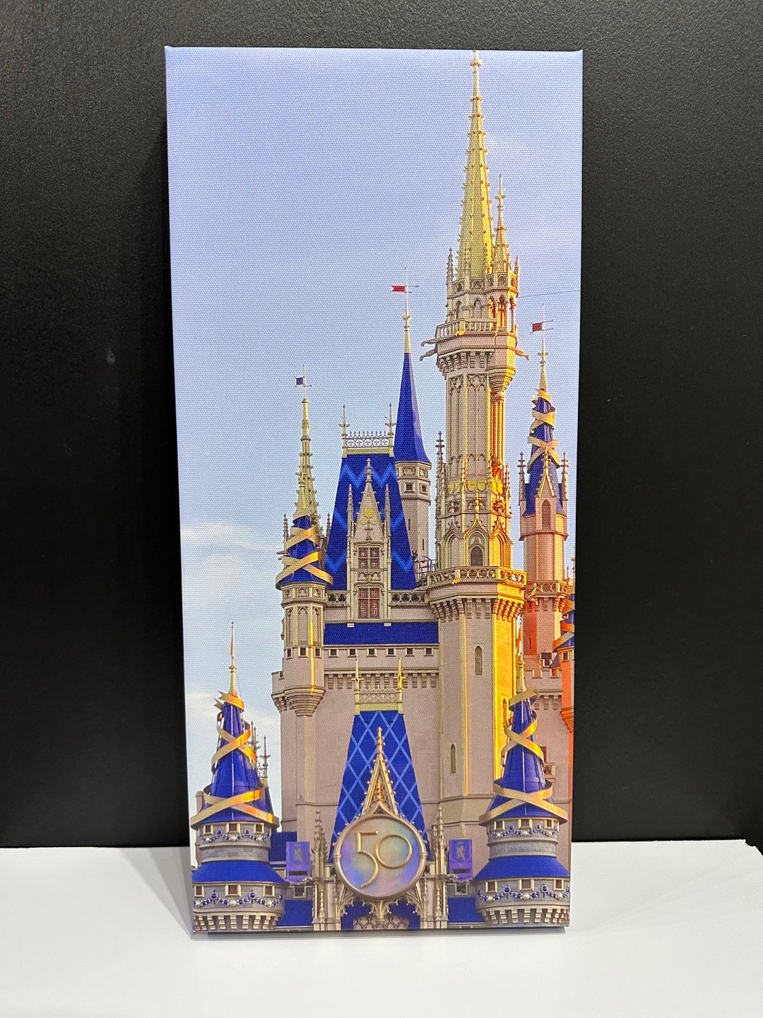 Disneyworld Magic Kingdom Castle Canvas - Etsy