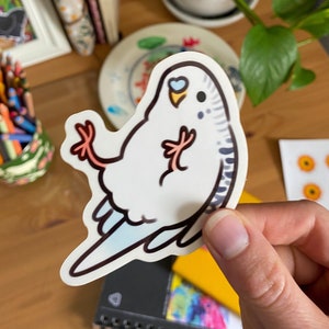 White Budgie - Clear Vinyl Sticker - Etsy