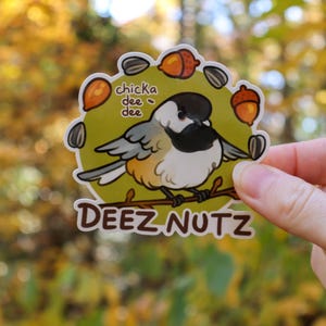 Chickadeez Nuts Sticker - Etsy