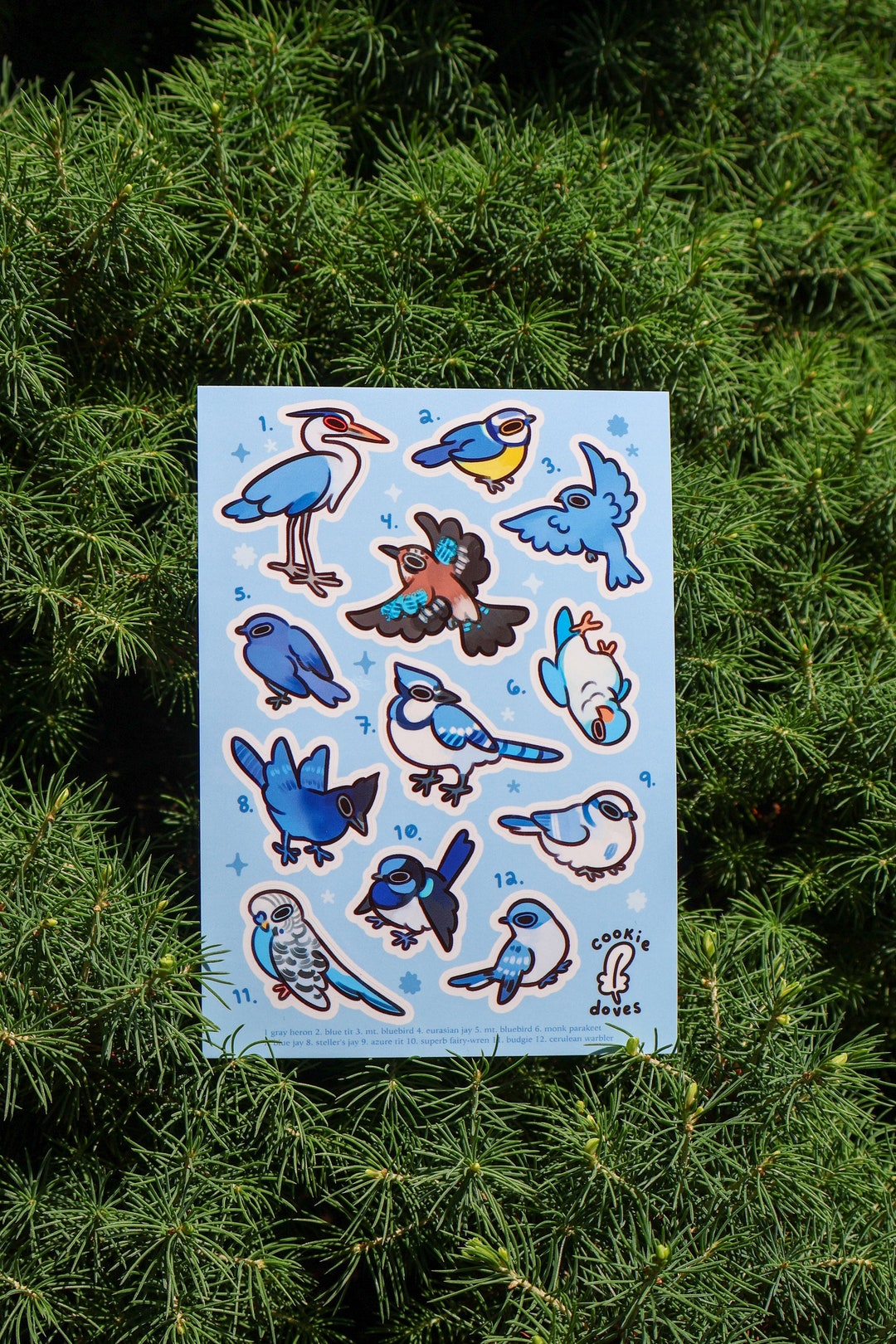 Blue Chibi Birds ~ Sticker Sheet - Etsy