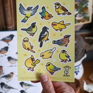 Yellow Chibi Birds ~ Sticker Sheet - Etsy