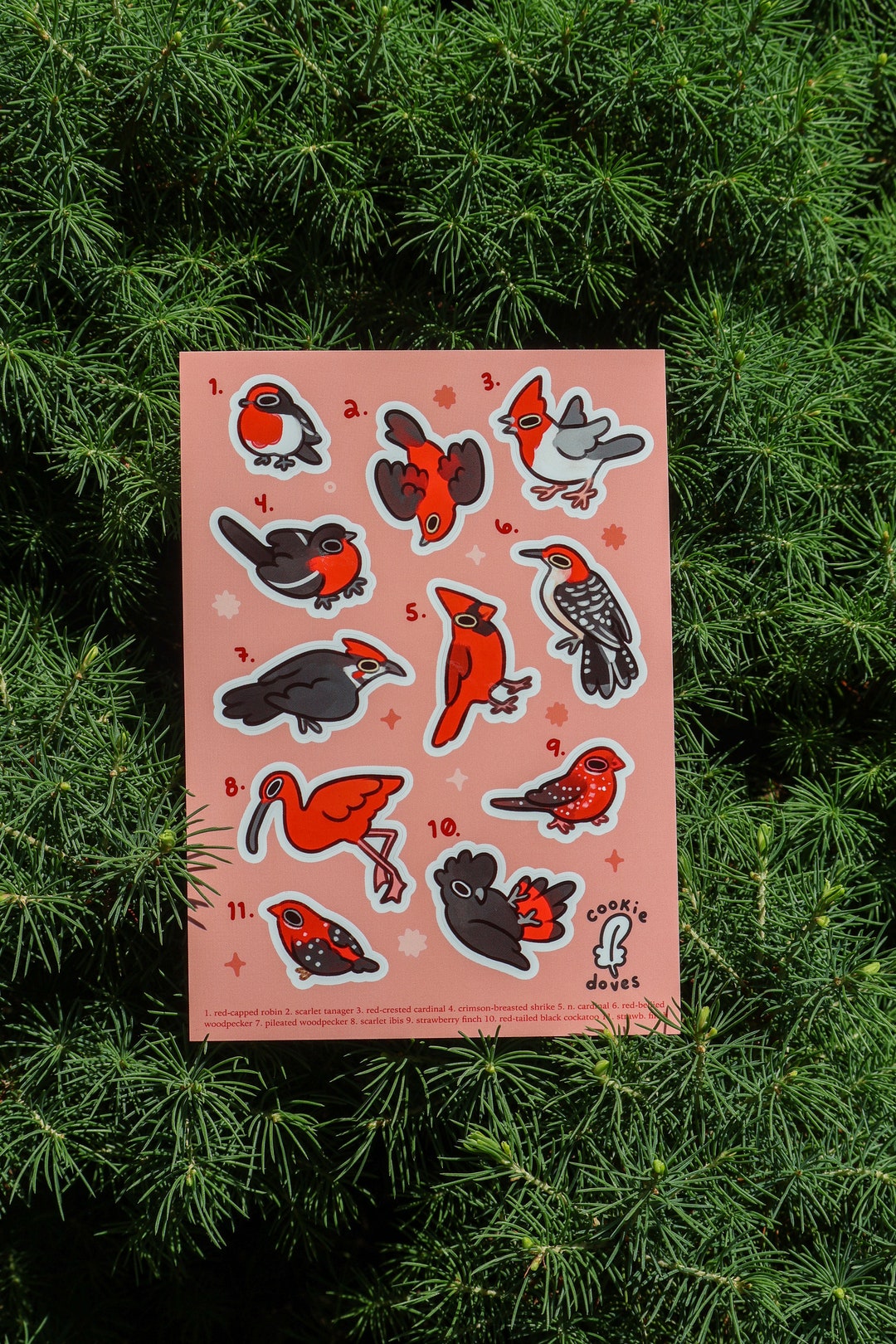Red Chibi Birds ~ Sticker Sheet - Etsy