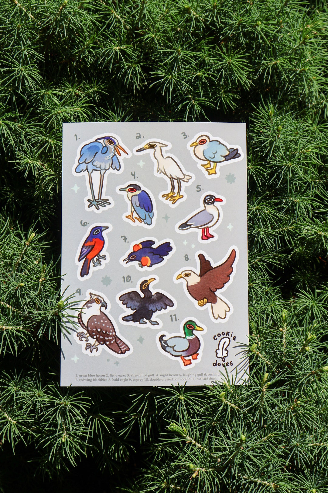 Chesapeake Bay Chibi Birds ~ Sticker Sheet - Etsy