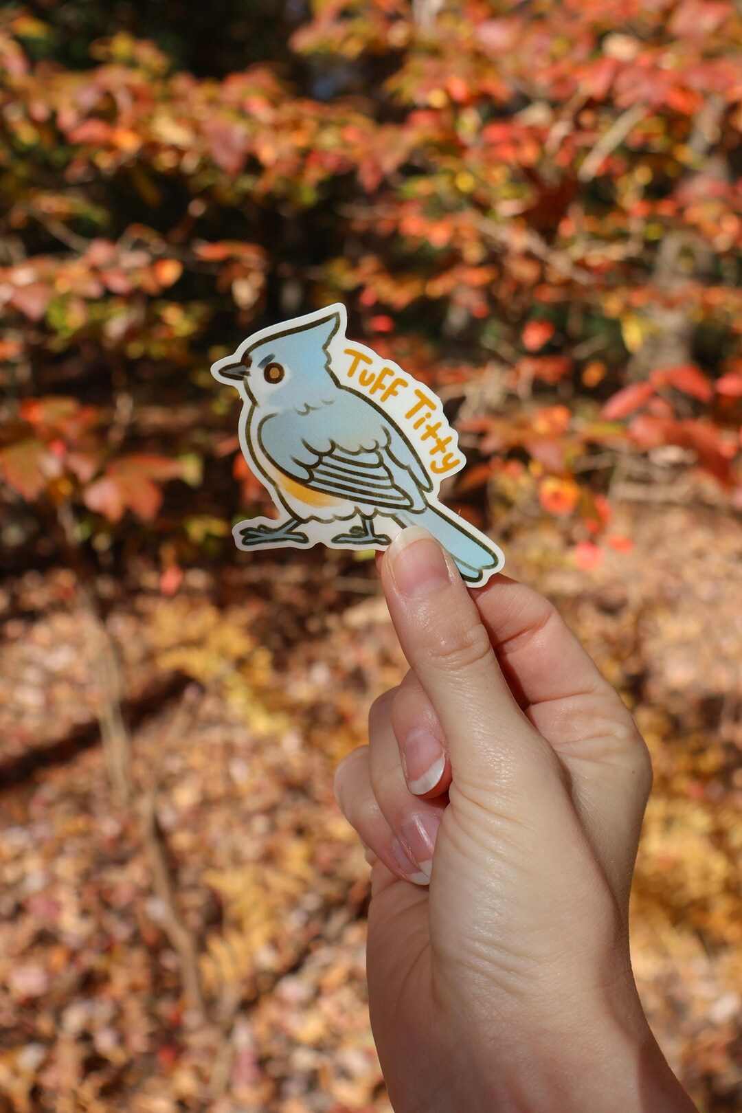 Tuff Tiddy Sticker - Etsy