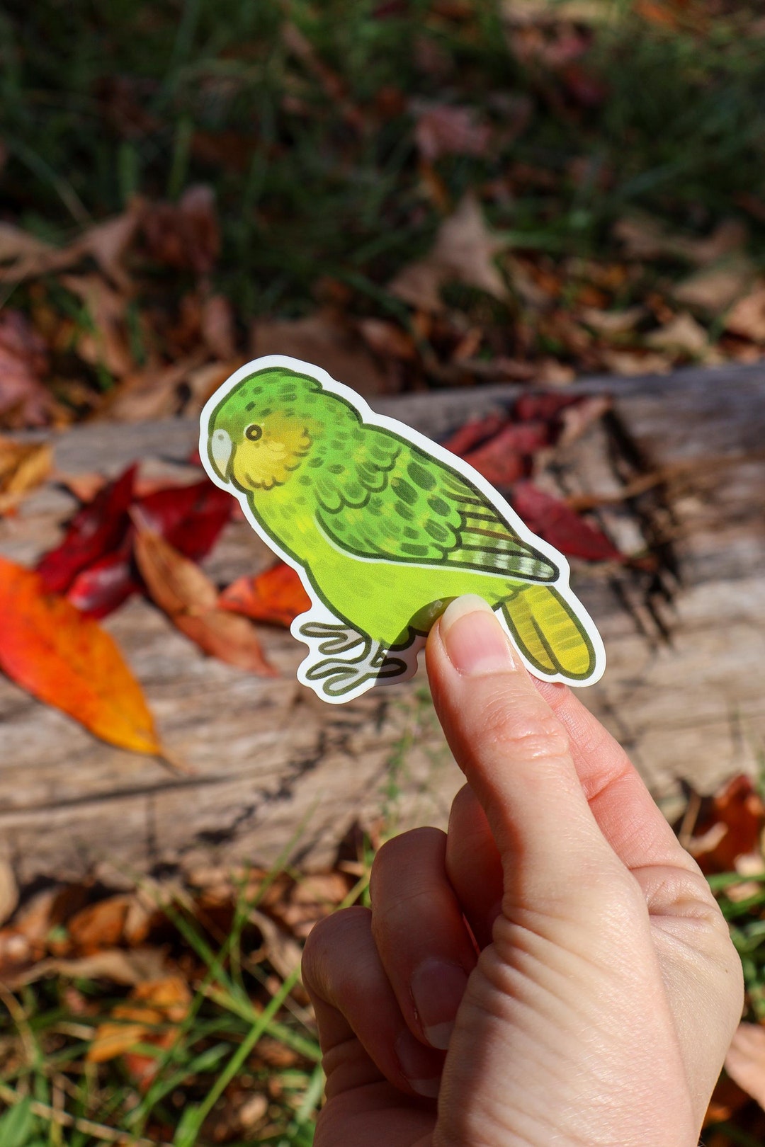 Kakapo Parrot Sticker - 3" Glossy Vinyl Decal - Etsy