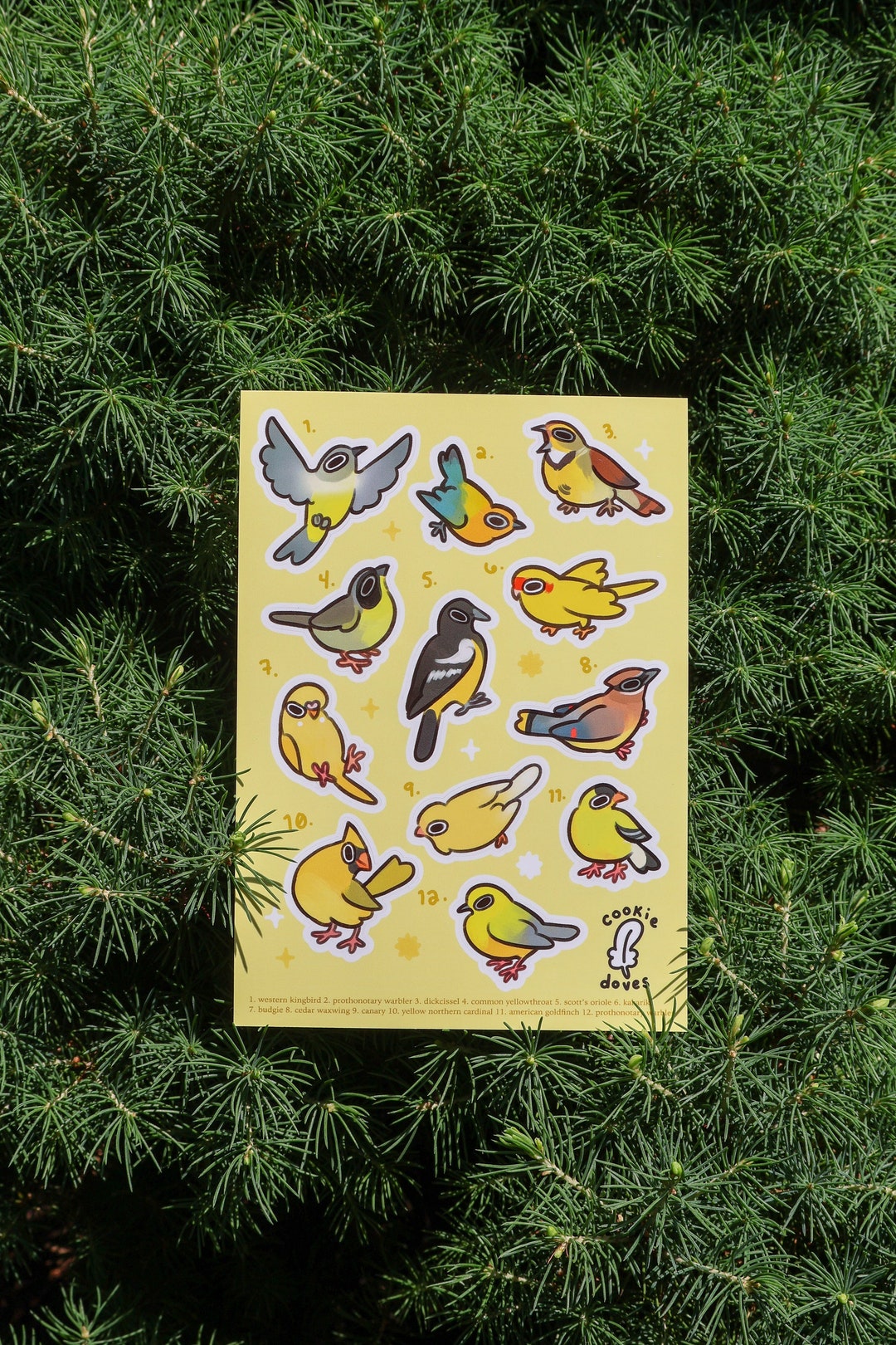 Yellow Chibi Birds ~ Sticker Sheet - Etsy
