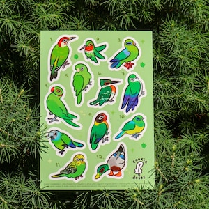 Green Chibi Birds ~ Sticker Sheet - Etsy