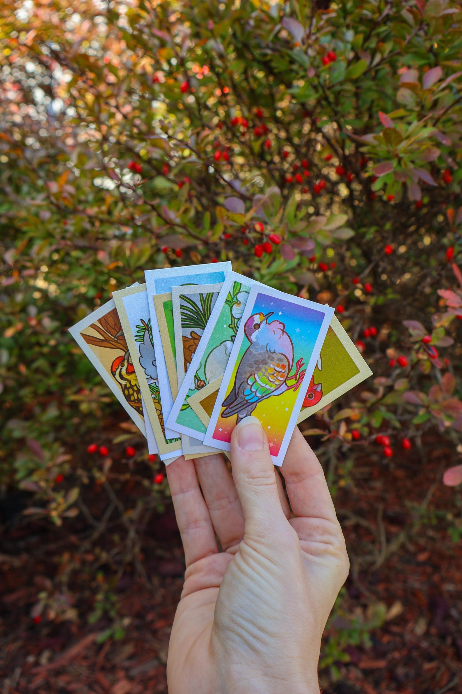 Info Cards ~ Bronzewing Set - Etsy