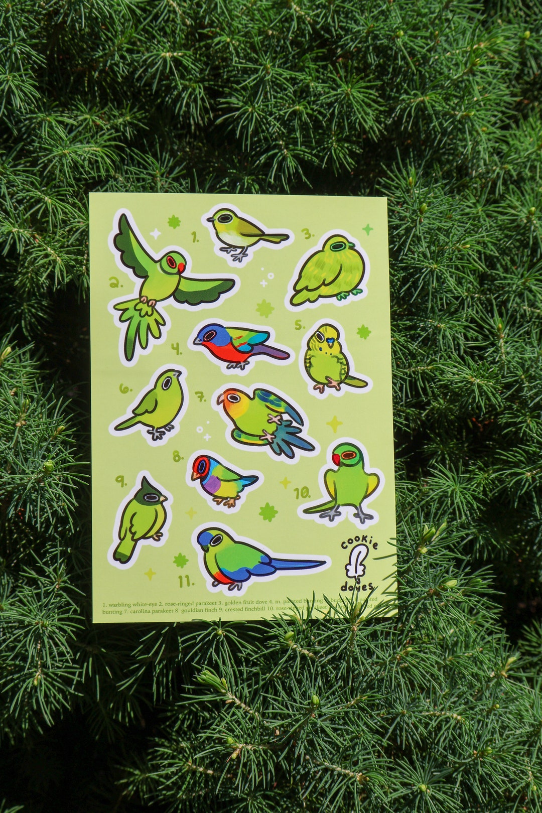 Chartreuse Chibi Birds ~ Sticker Sheet - Etsy