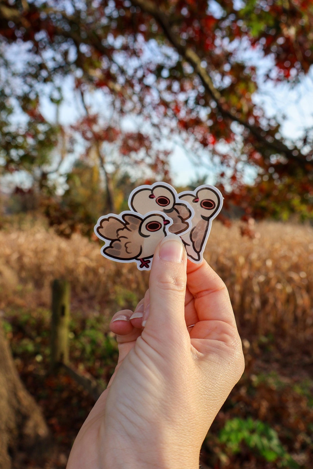 Chibi Ring-necked Dove Stickers - Etsy