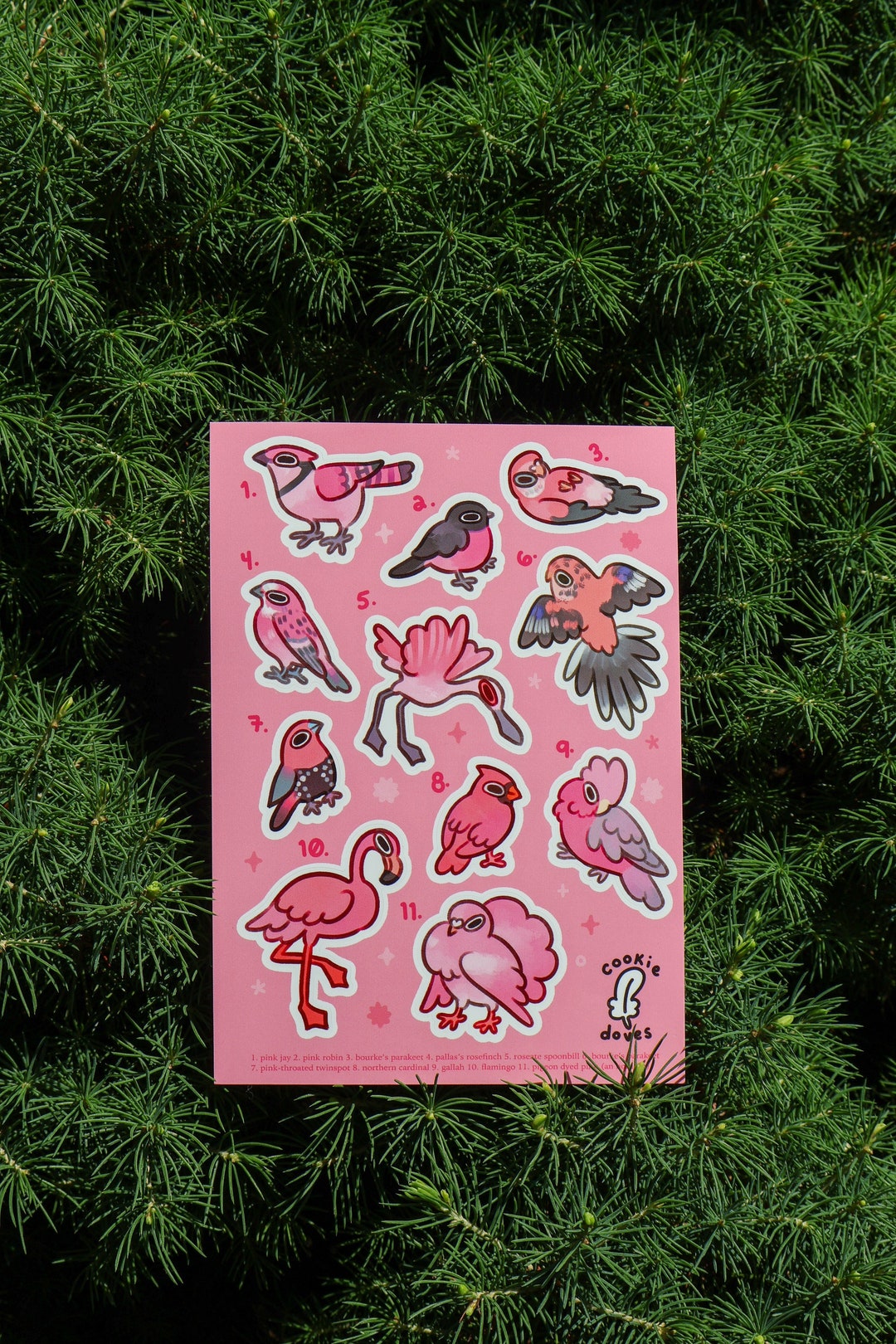 Pink Chibi Birds ~ Sticker Sheet - Etsy