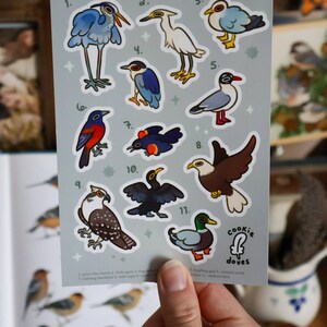 Chesapeake Bay Chibi Birds ~ Sticker Sheet - Etsy