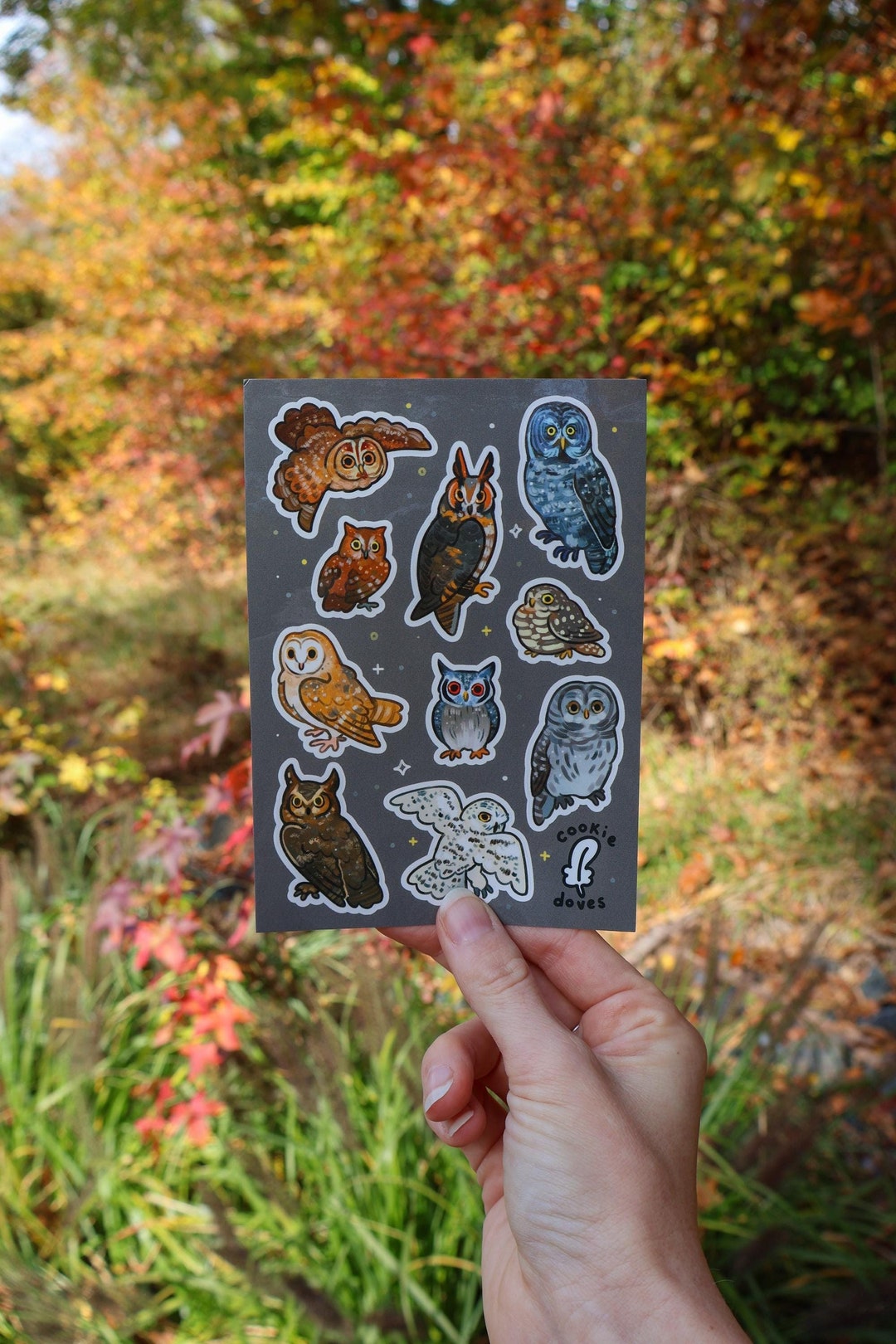 Owl Sticker Sheet - Etsy