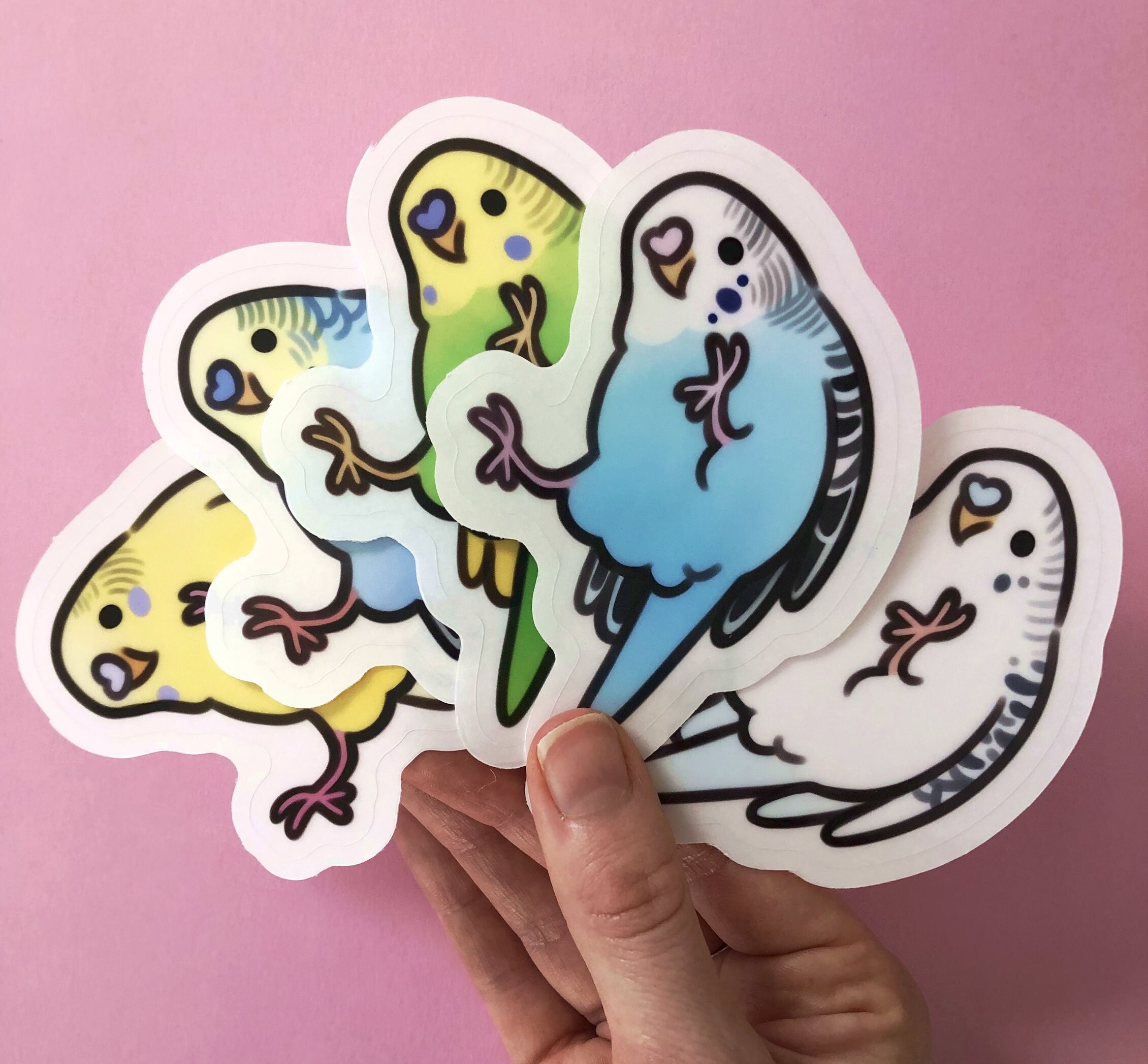 Green & Yellow Budgie Clear Vinyl Sticker - Etsy