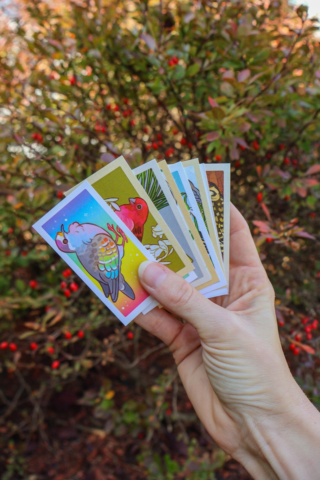Info Cards ~ Bronzewing Set - Etsy