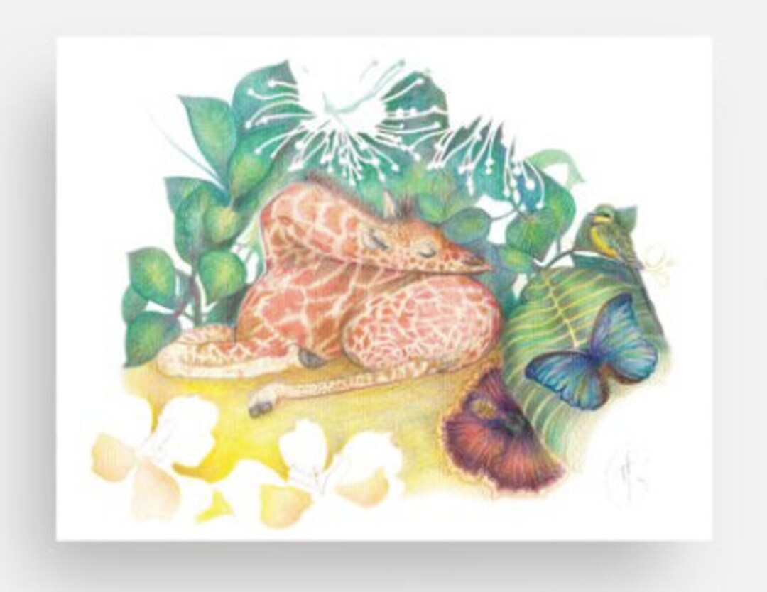 Giraffon Card matte or Glazed Envelope - Etsy