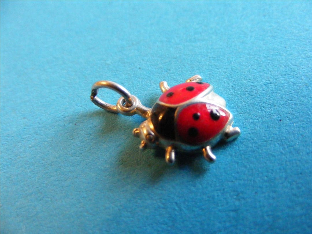 Vintage Sterling Silver Charm Enamelled Ladybird Charms Pendant 925 L ...