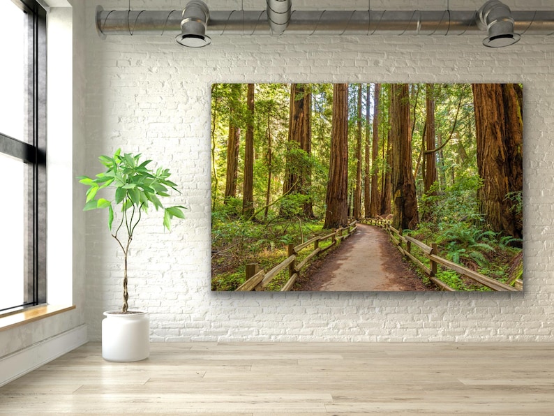 Coastal Redwoods Path Print, Muir Woods Photography, Nature Forest Wall ...
