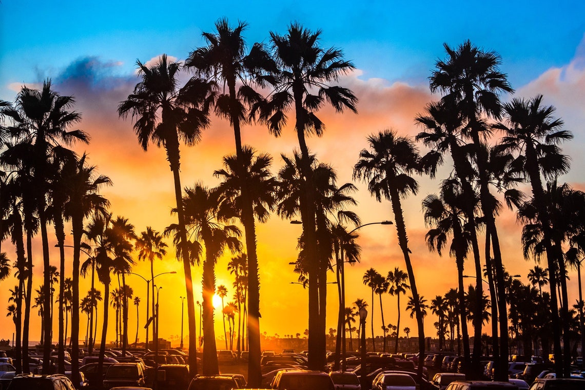Palm Tree Sunset Print Southern California Photo Colorful - Etsy