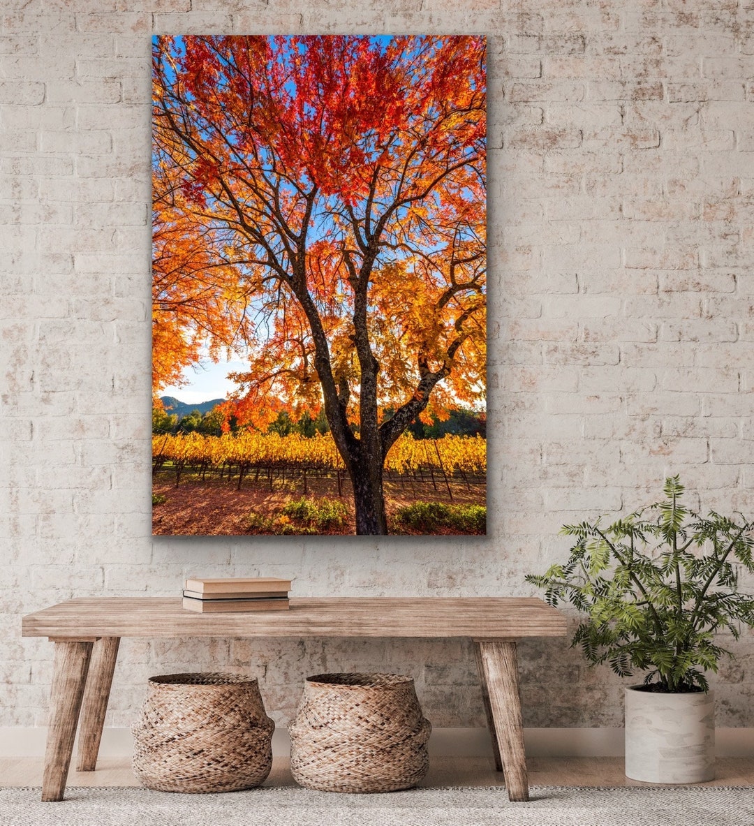 Autumn Tree Print, Colorful Fall Foliage Wall Art, California Wine ...