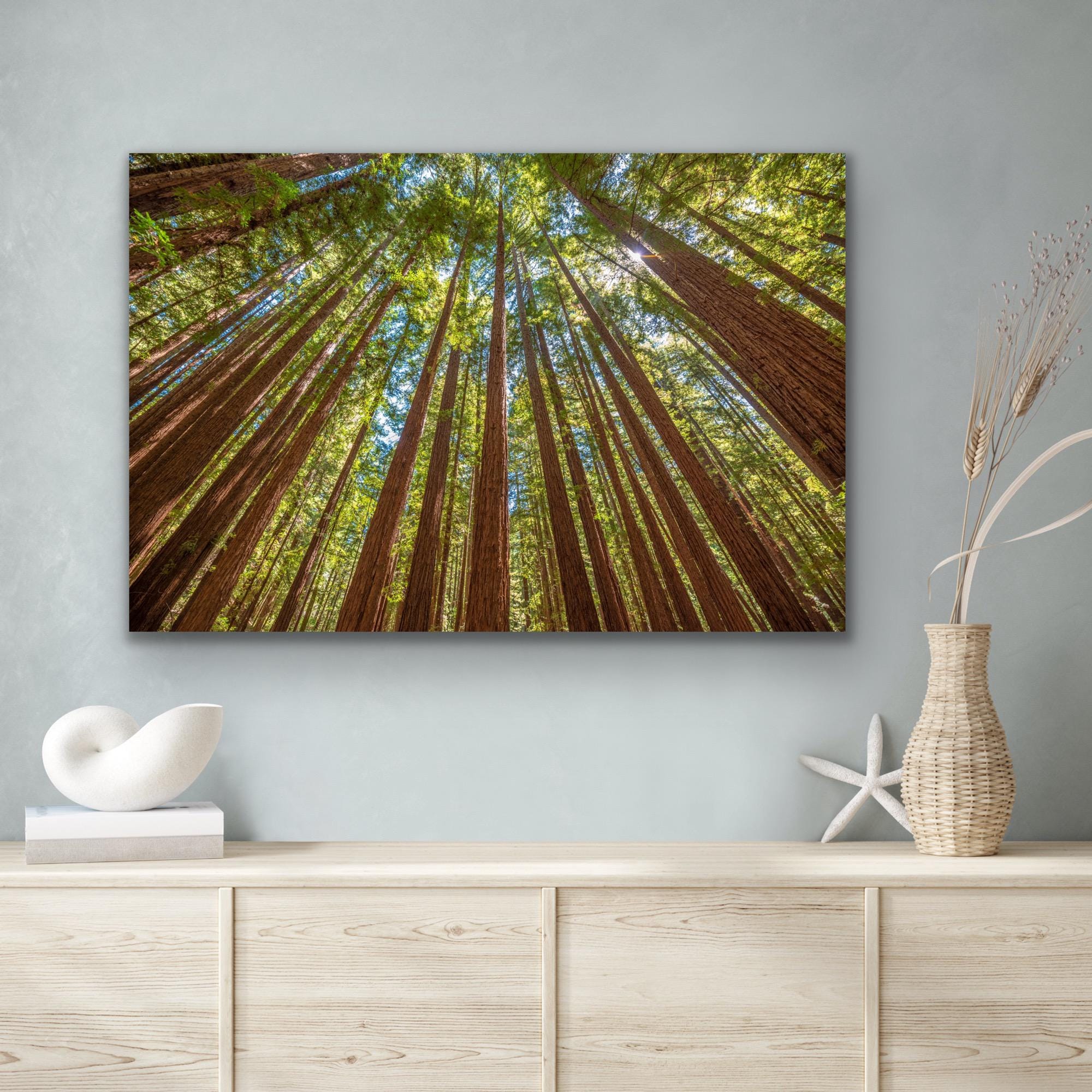 Northern California Redwood Forest Print, Majestic Redwoods Wall Art ...