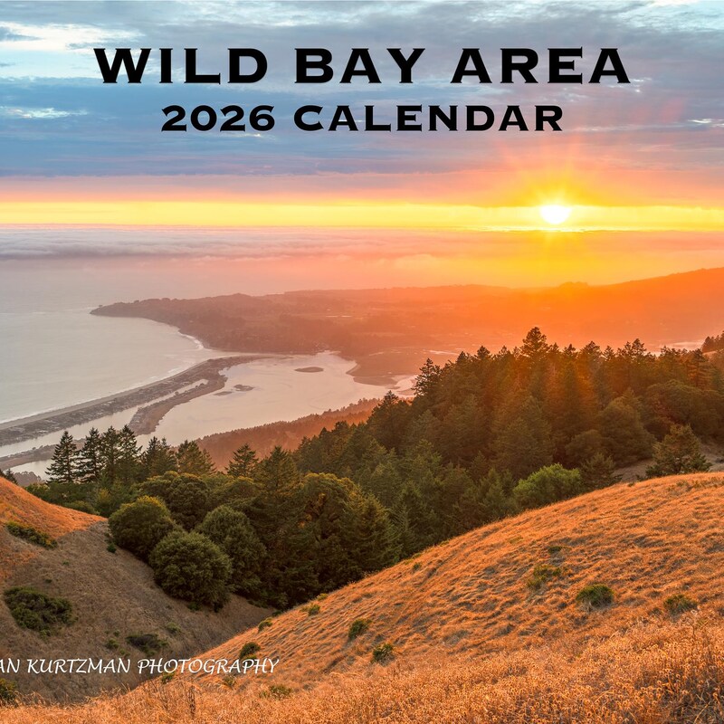 California 2026 Calendar - Etsy