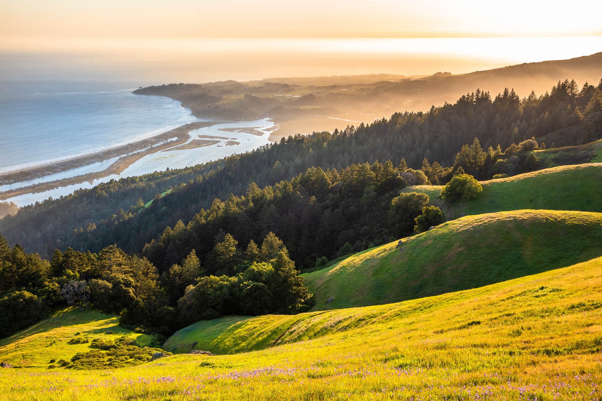 Mount Tamalpais Spring Wall Art Stunning Photo of Green Hills - Etsy