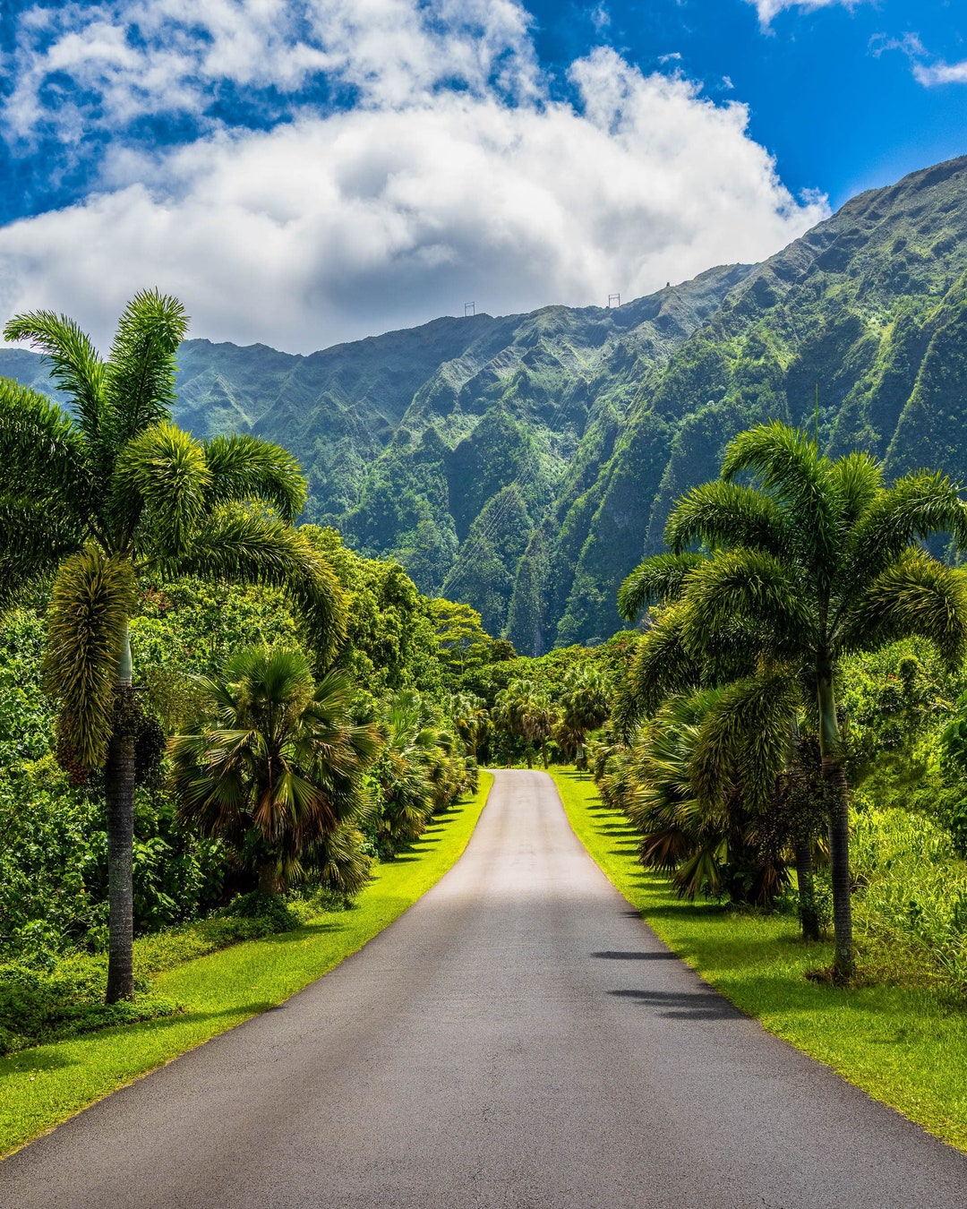 Hawaii Wall Art Tropical Paradise Print Oahu Nature Photography ...