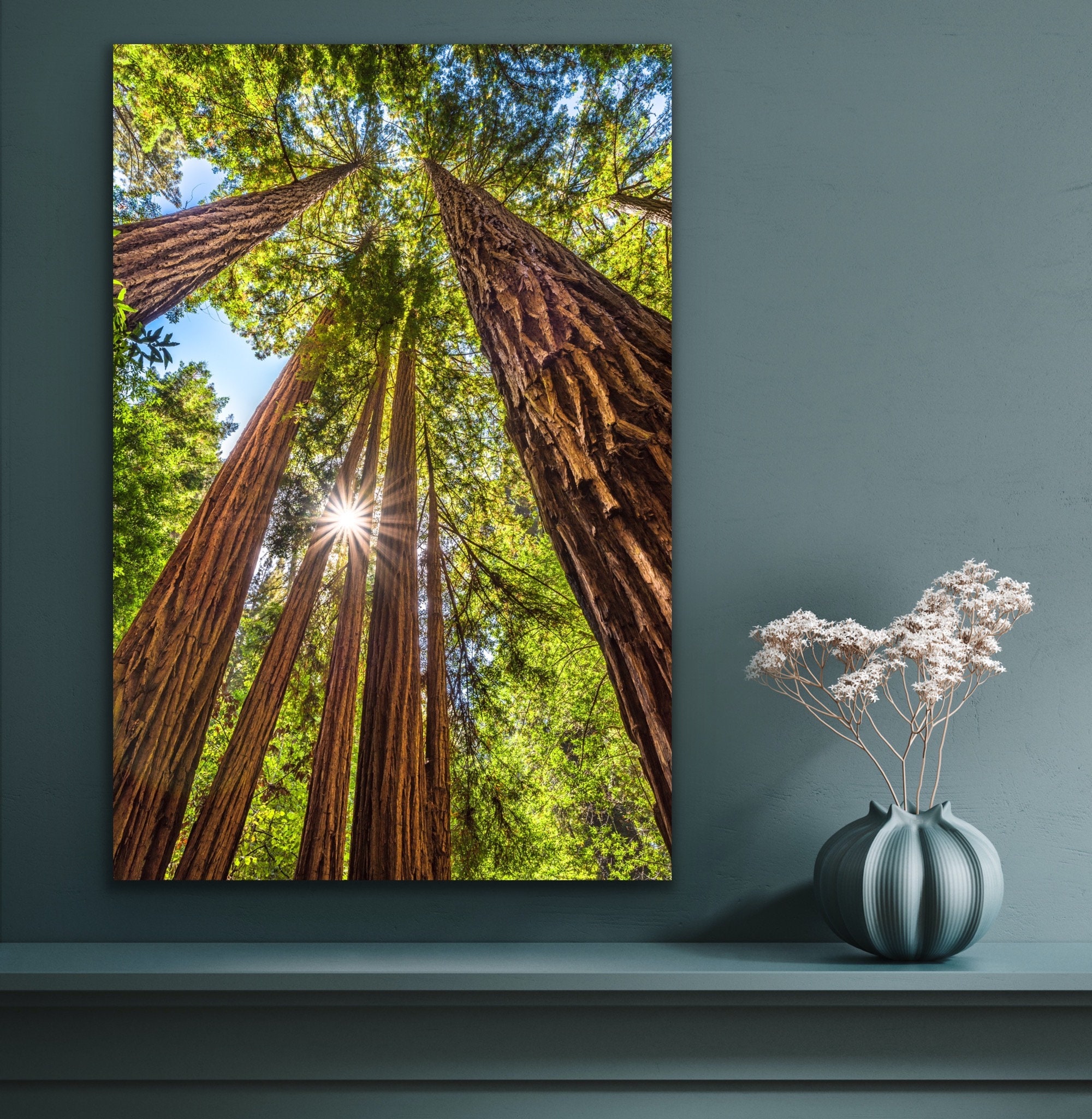 Redwood Tree Print Muir Woods Photo Tree Print Wall Art - Etsy