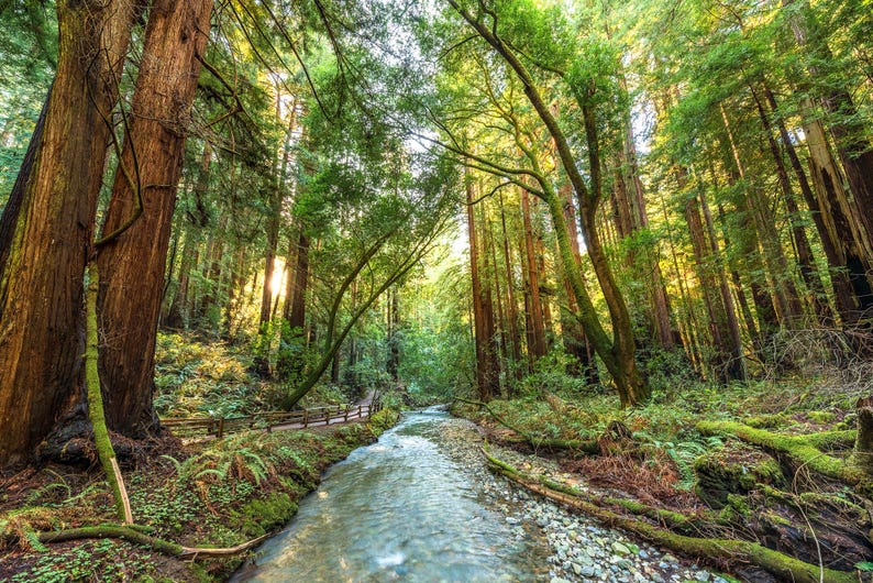 Nature Note Cards Set, Landscape Greeting Cards Pack, Waterfalls Forest ...