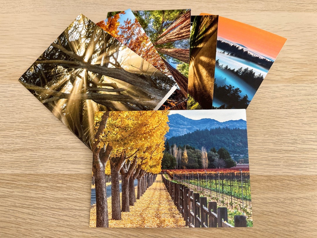 Blank Tree Note Cards – Nature Stationery Set With Envelopes for Thank ...